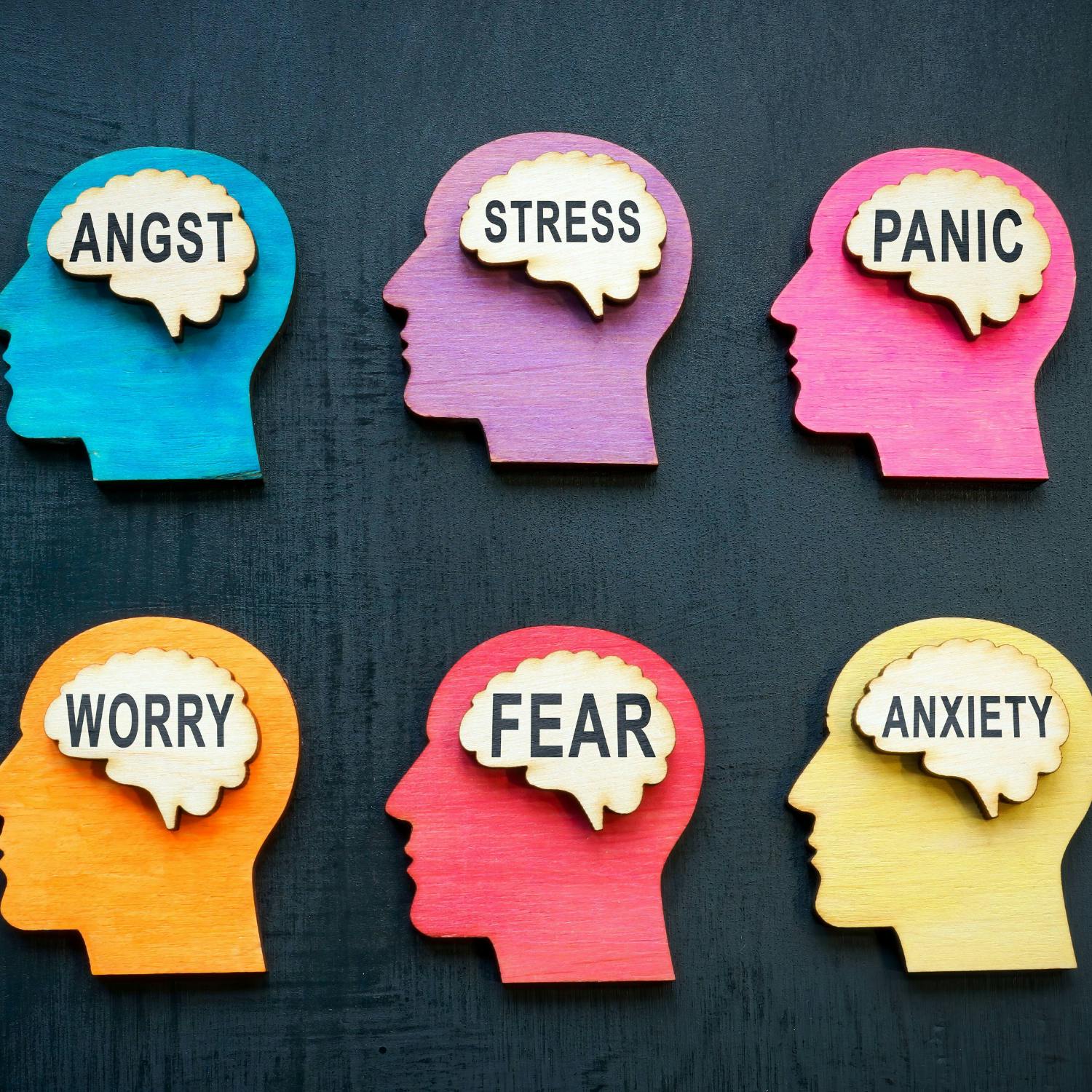 Why we feel Fear and how we can manage it – The Pat Kenny Show