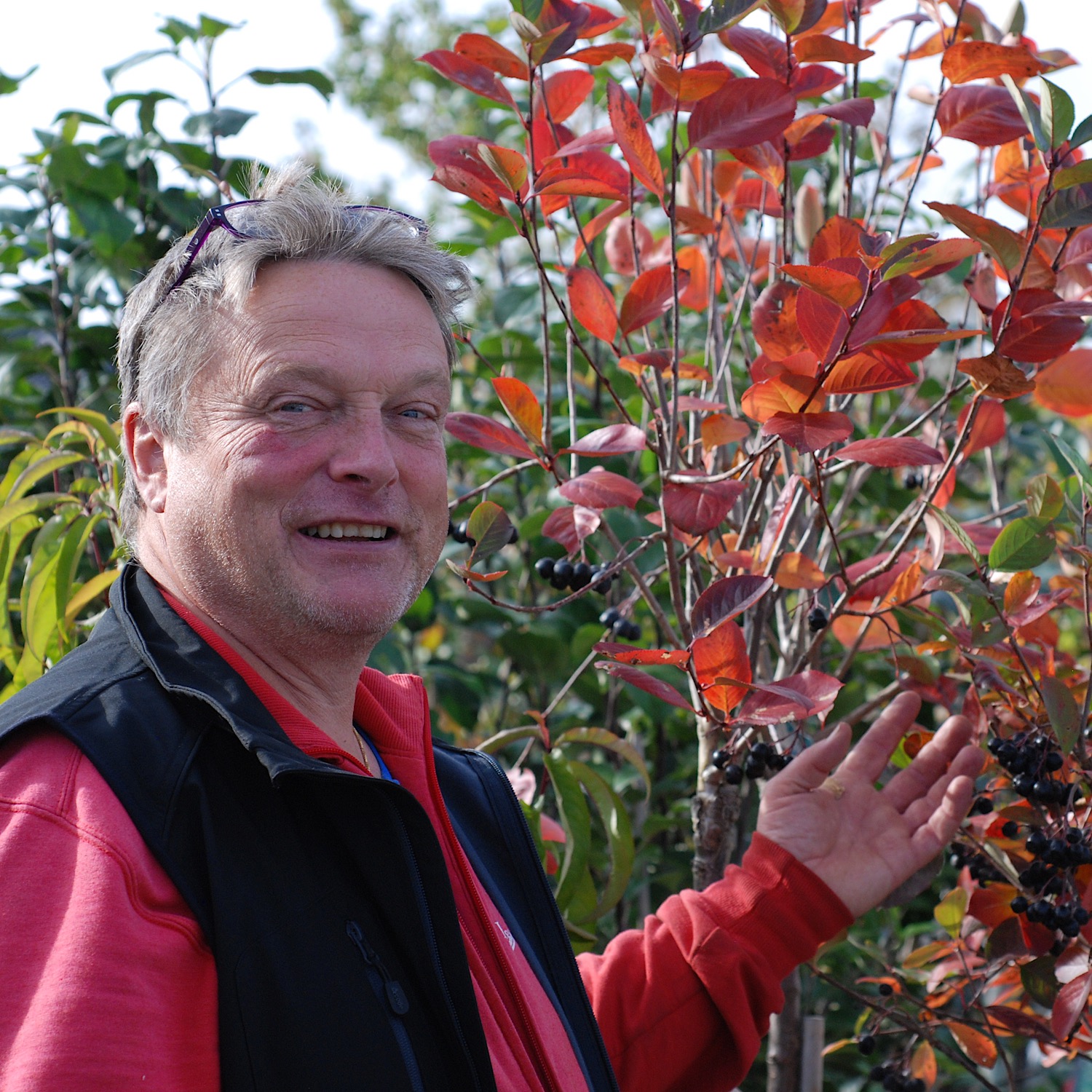 Vem rodnar mest i trädgården? - Trädgårdssnack | Lyssna här | Poddtoppen.se
